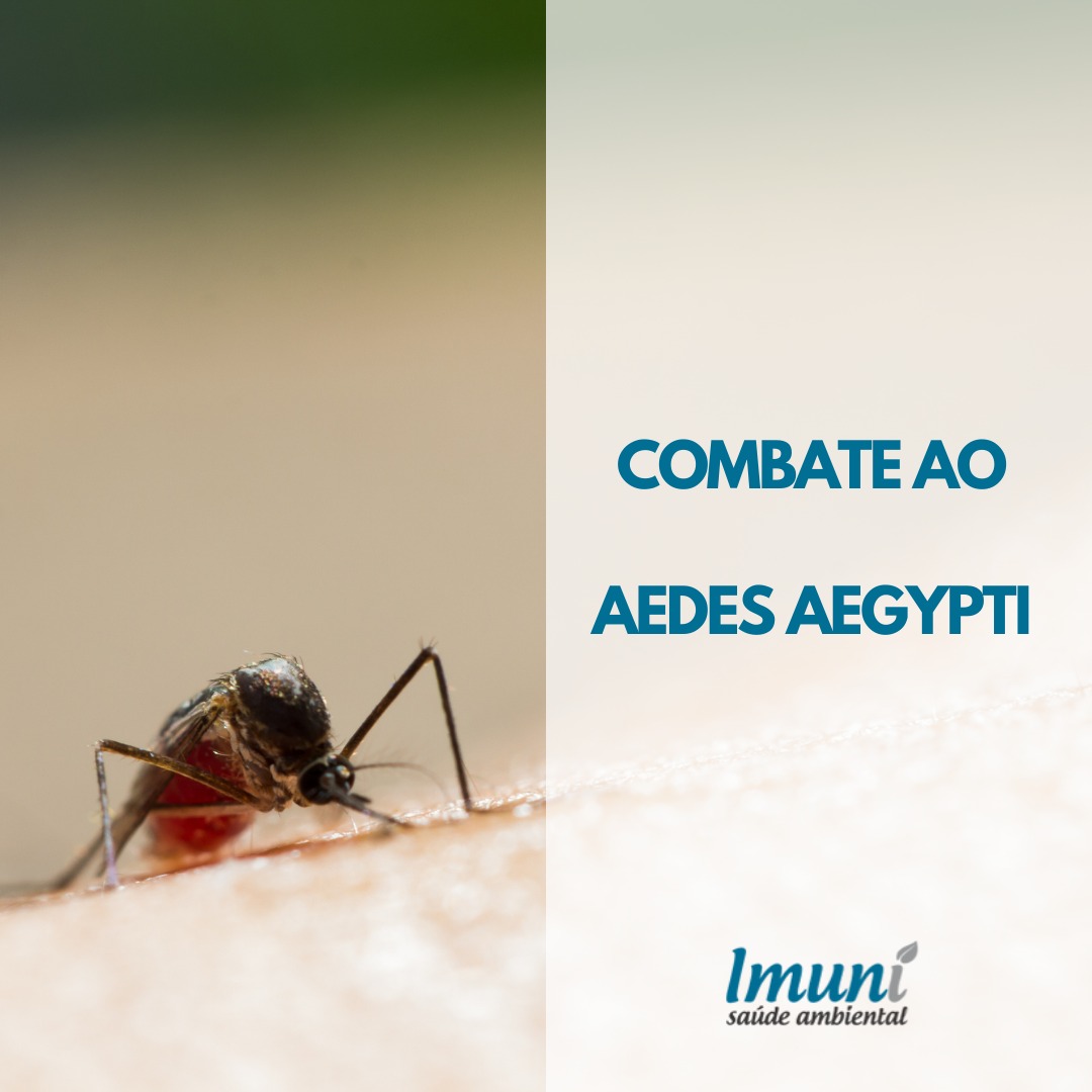 COMBATE AO AEDES AEGYPTI - Imuni