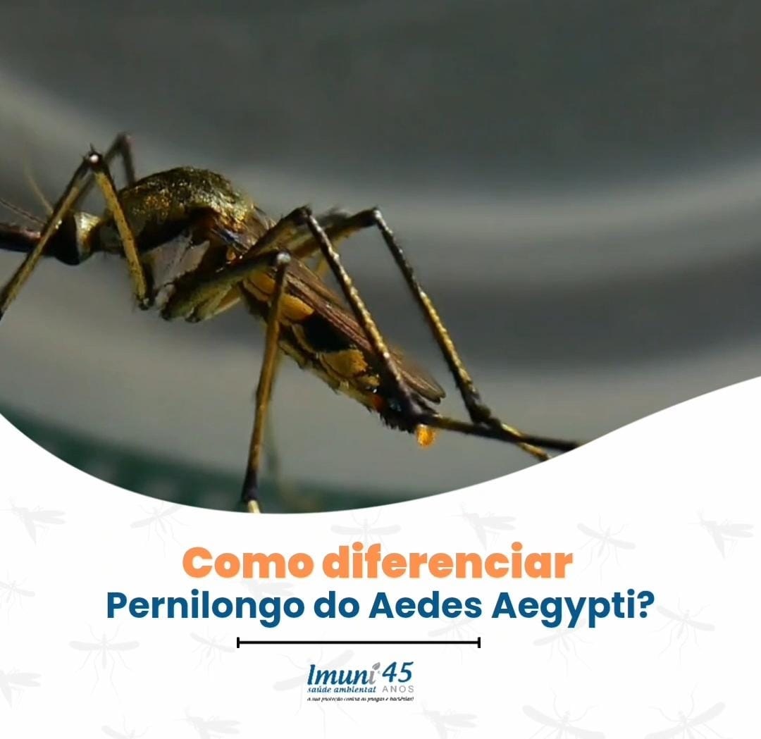 COMO SEI SE É PERNILONGO OU AEDES AEGYPTI? - Imuni